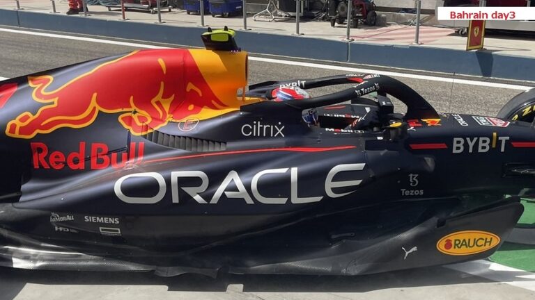 【レッドブルRB18】サイドポッドをアップデート！空気の流れを固定化・レーキセッティング | F1モタスポGP